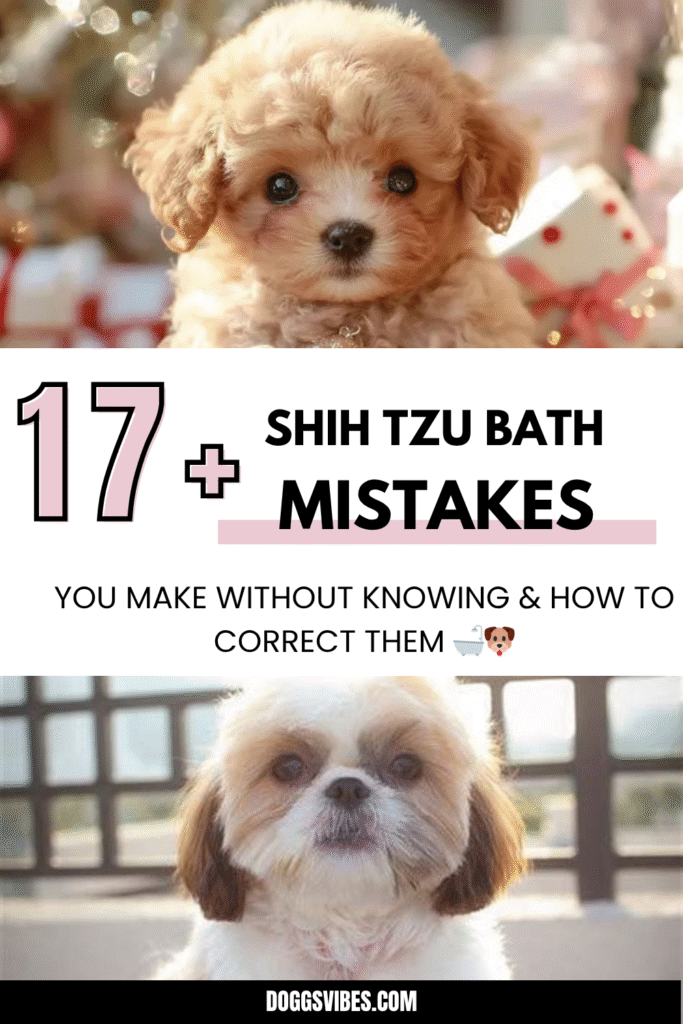 11+Shih Tzu Face Grooming at Home: A Step-by-Step Guide